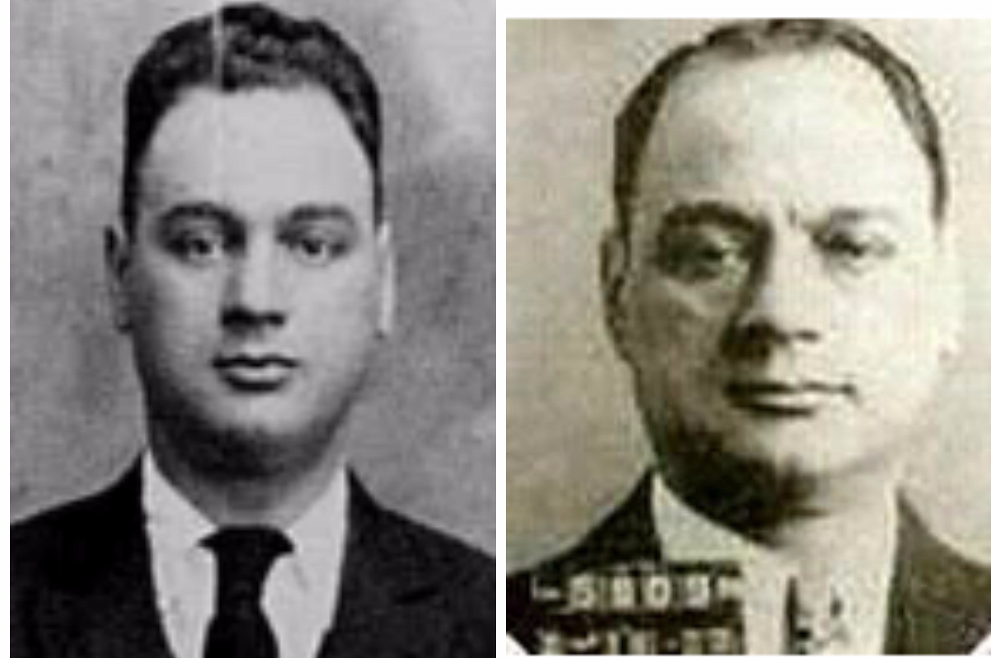 The Mangano brothers and Joe Profaci – Mafia Genealogy