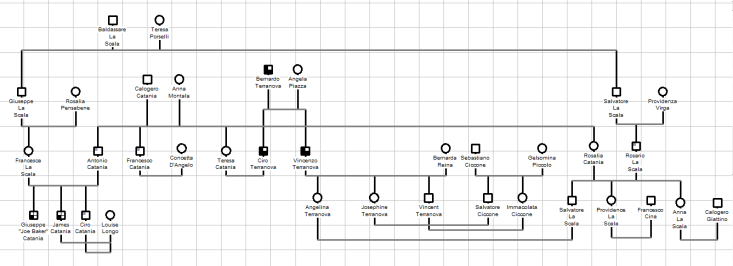 Three “tells” of Mafia families – Mafia Genealogy