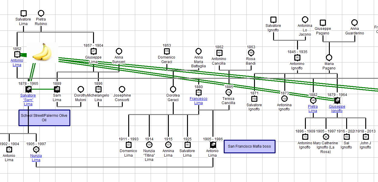 Second life of Sam Lima – Mafia Genealogy